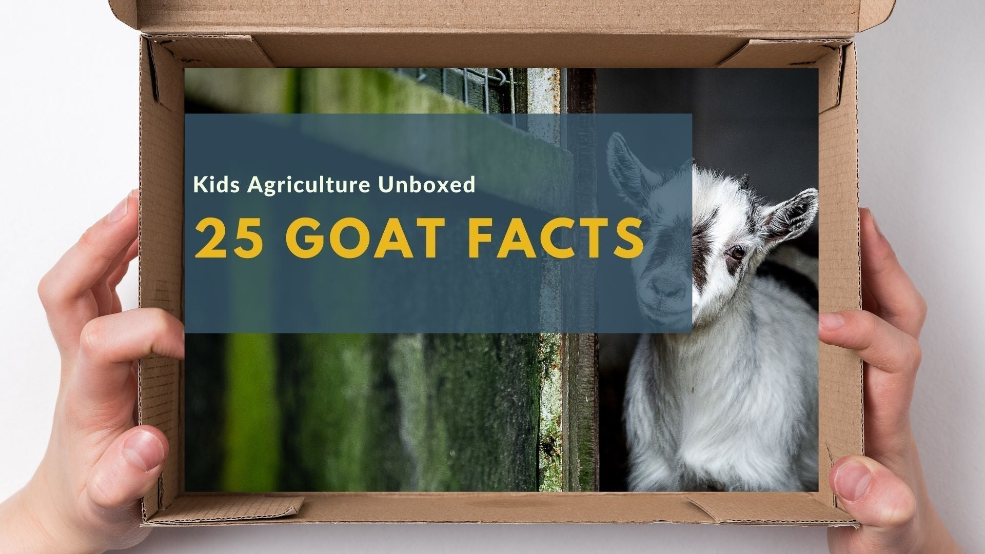 25 Fun and Fascinating Goat Facts You Need to Know – Agriculture ...