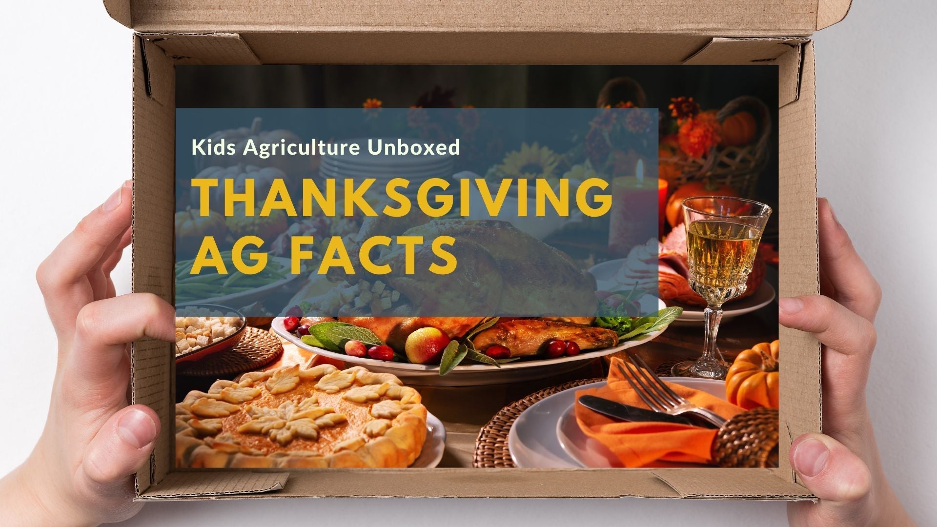 25 Thanksgiving Agriculture Facts – Agriculture Unboxed Shop/Kids ...