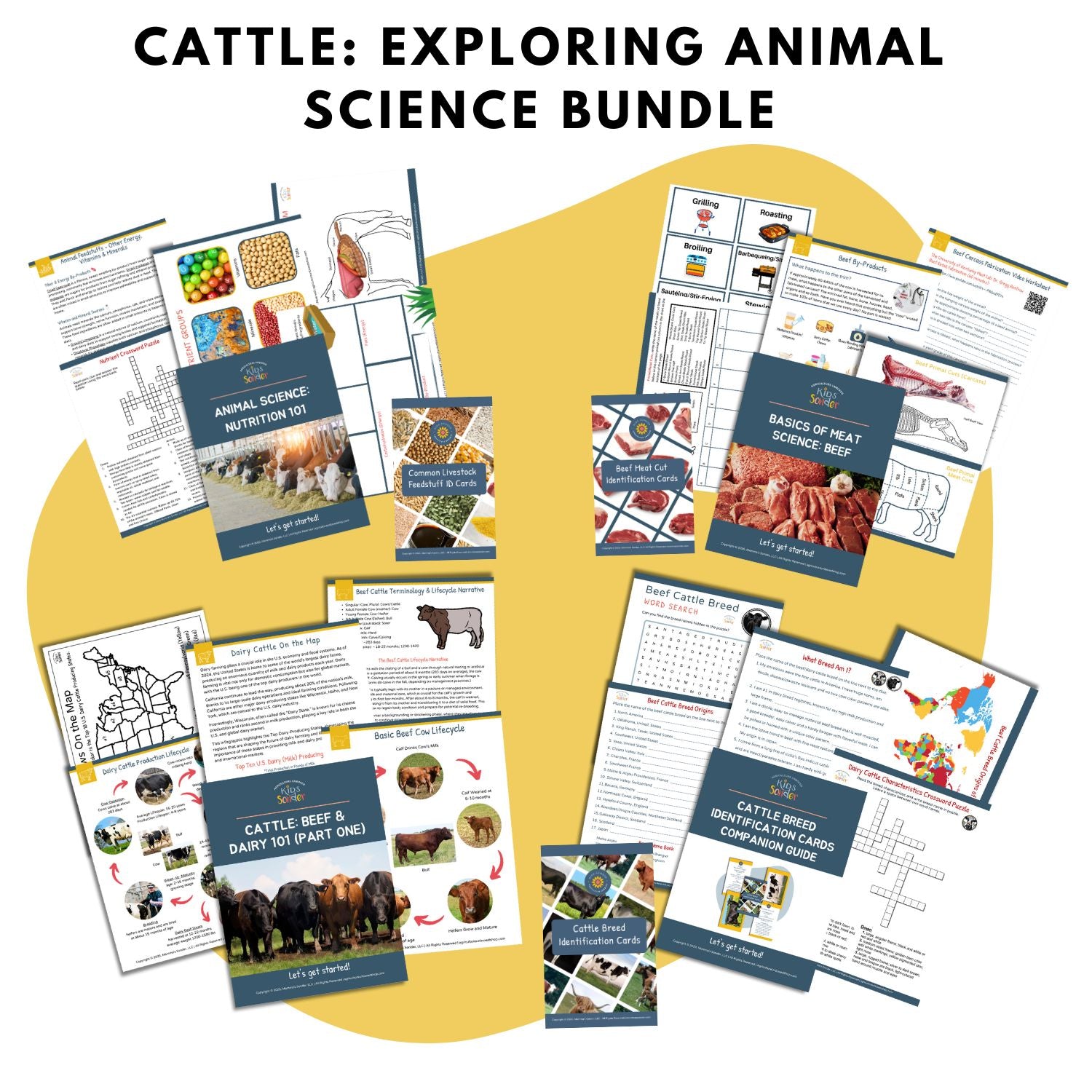 Cattle: Exploring Animal Science Bundle – Agriculture Unboxed Shop/Kids ...