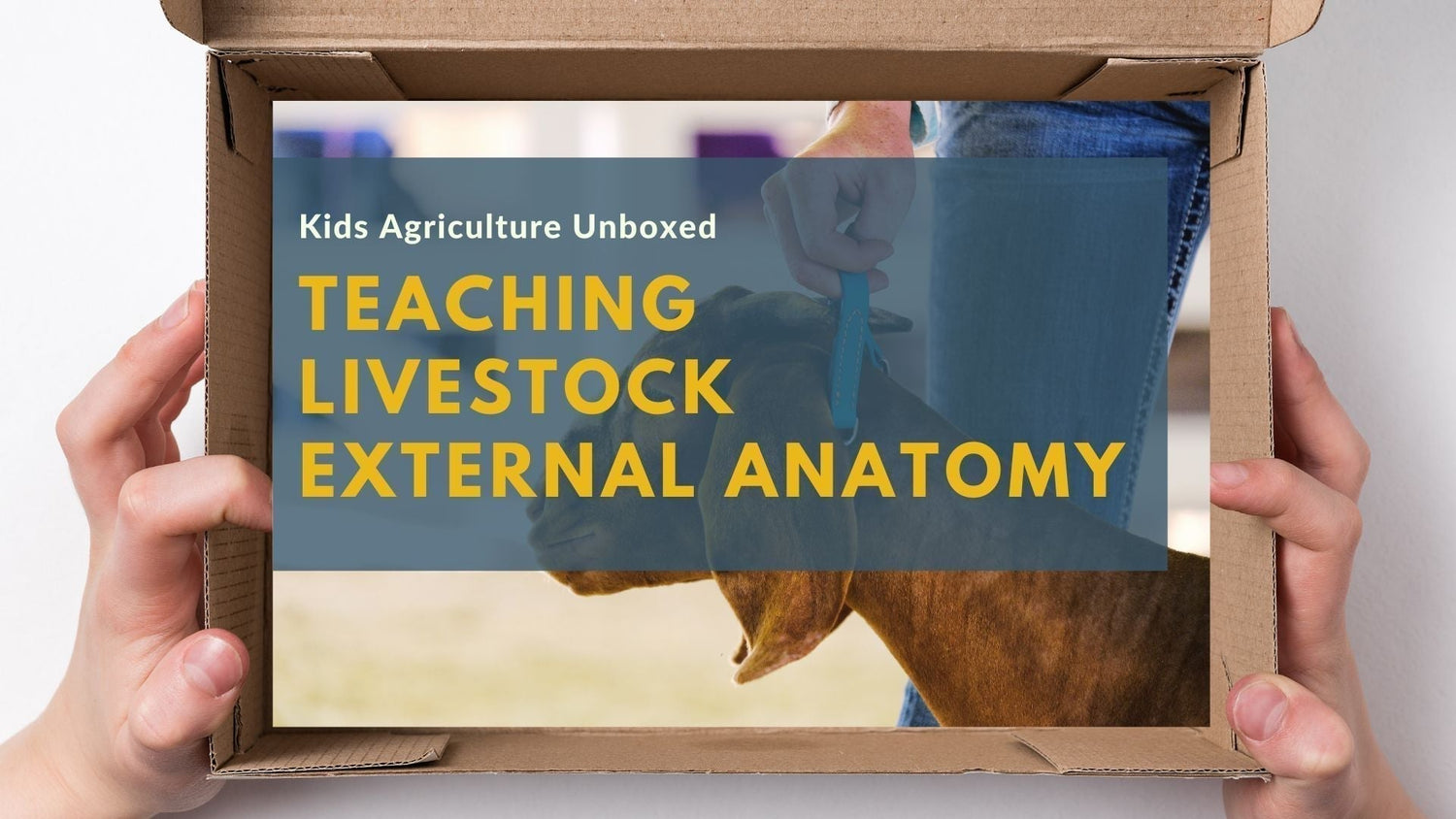 Teaching Livestock External Anatomy – Agriculture Unboxed Shop/Kids ...