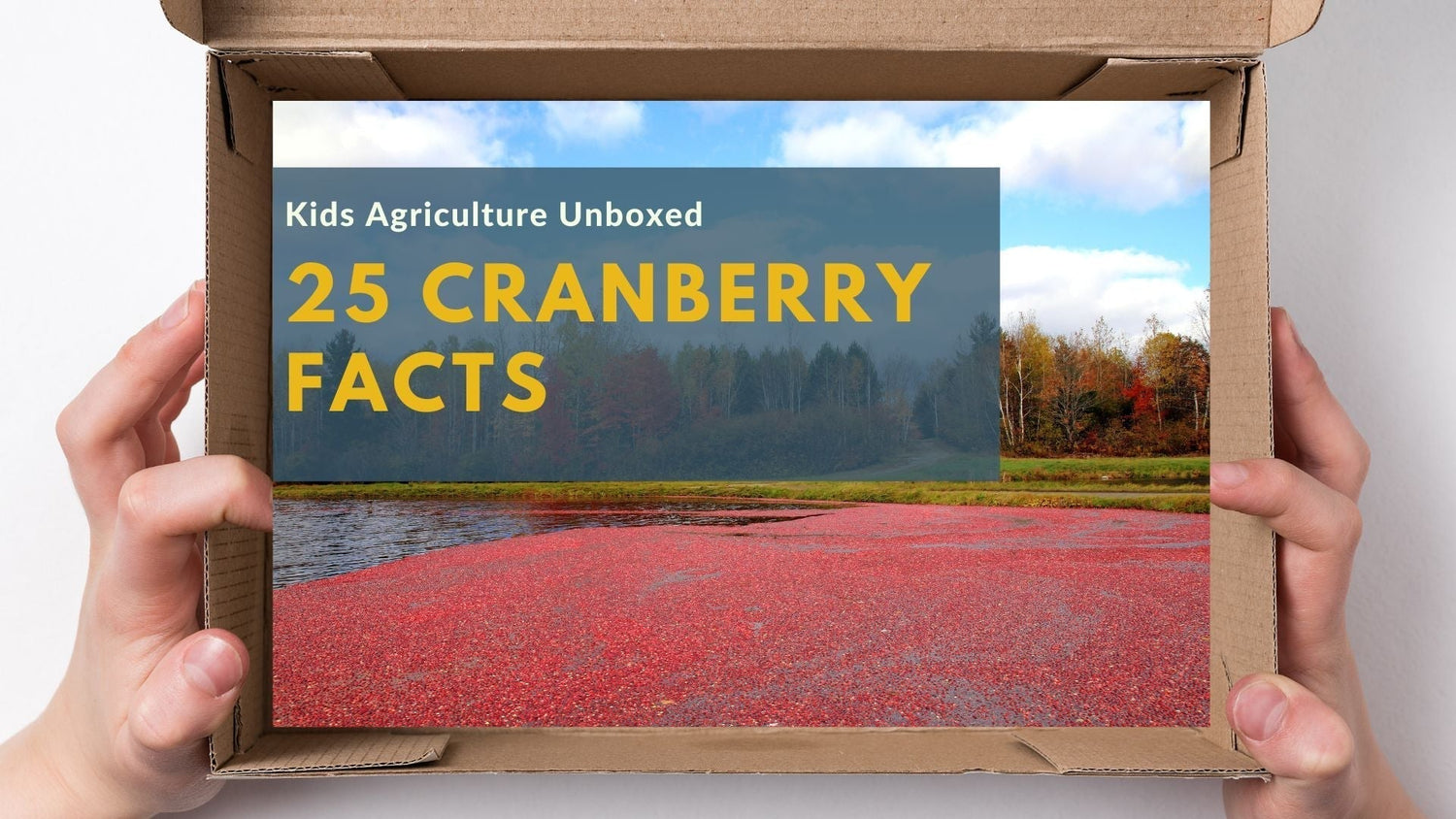 25 Cranberry Facts for Kids – Agriculture Unboxed Shop/Kids Agriculture ...