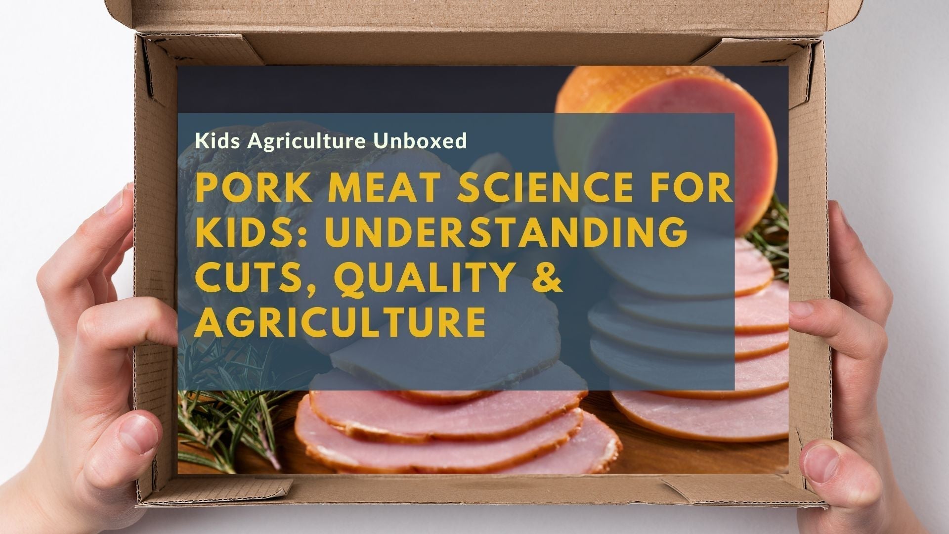Pork Meat Science for Kids: Understanding Cuts, Quality & Agriculture ...