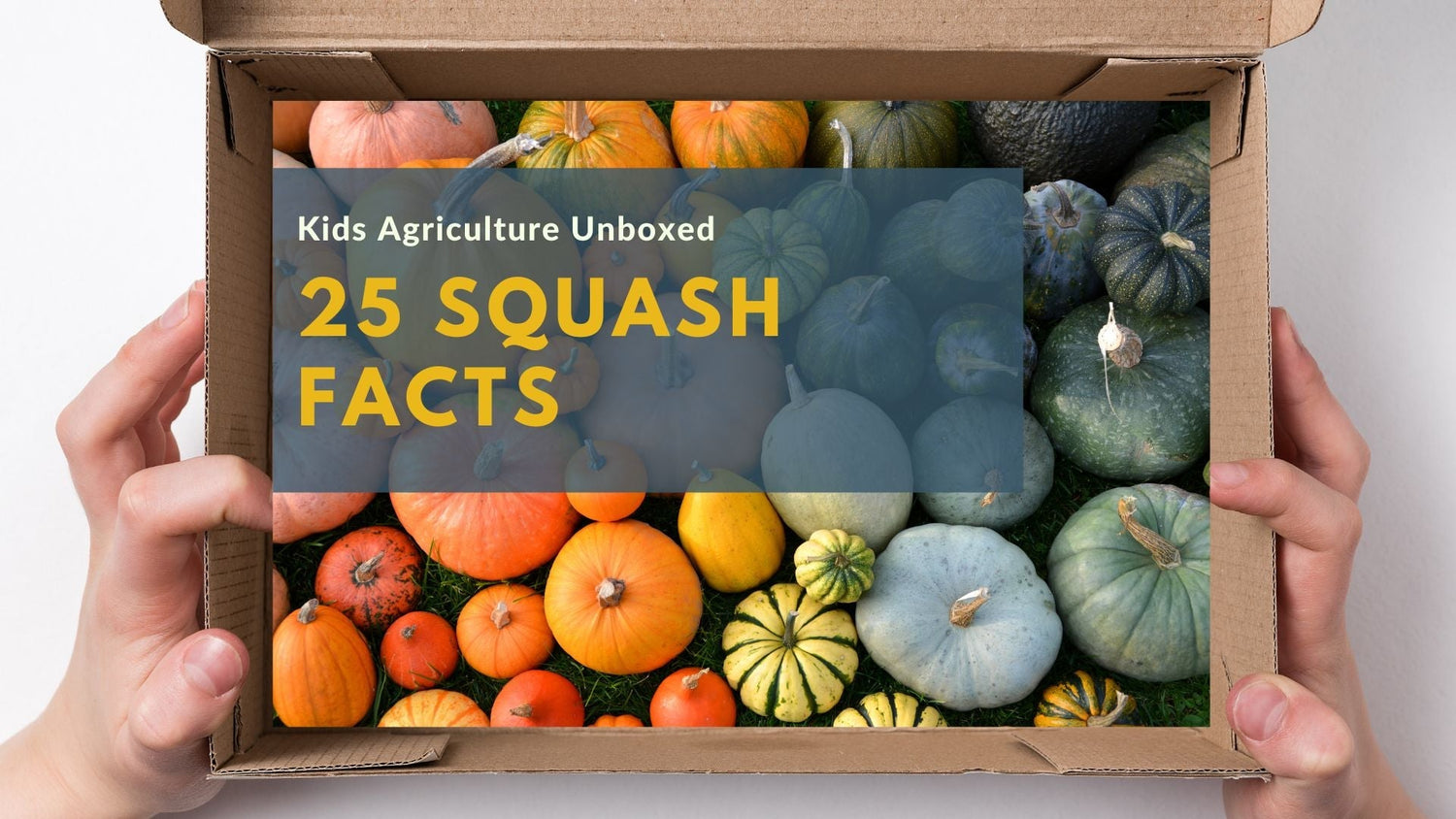 25 Fantastic Squash Facts & U.S. Squash Industry Insights – Agriculture ...