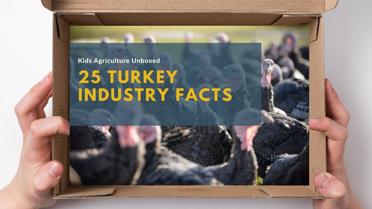 25 Fascinating Turkey Facts and Turkey Industry for Kids – Agriculture ...