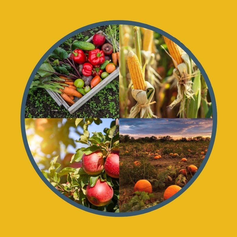 Horticulture – Agriculture Unboxed Shop/Kids Agriculture Unboxed