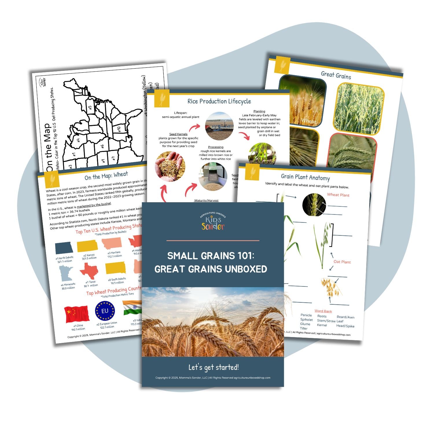 Small Grains 101: Great Grains Unboxed (Printable PDF) – Agriculture ...