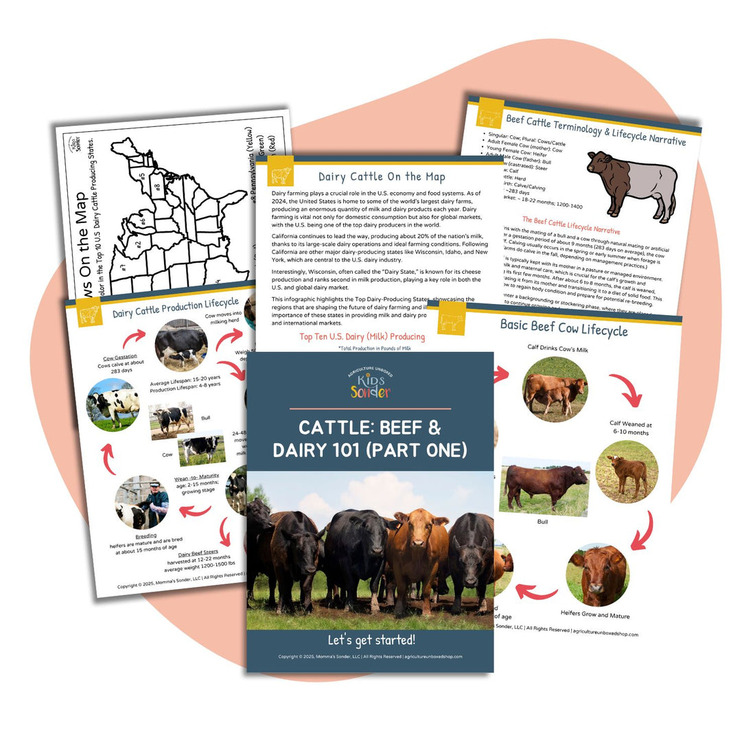 Cattle: Beef & Dairy 101 (Printable PDF) – Agriculture Unboxed Shop ...