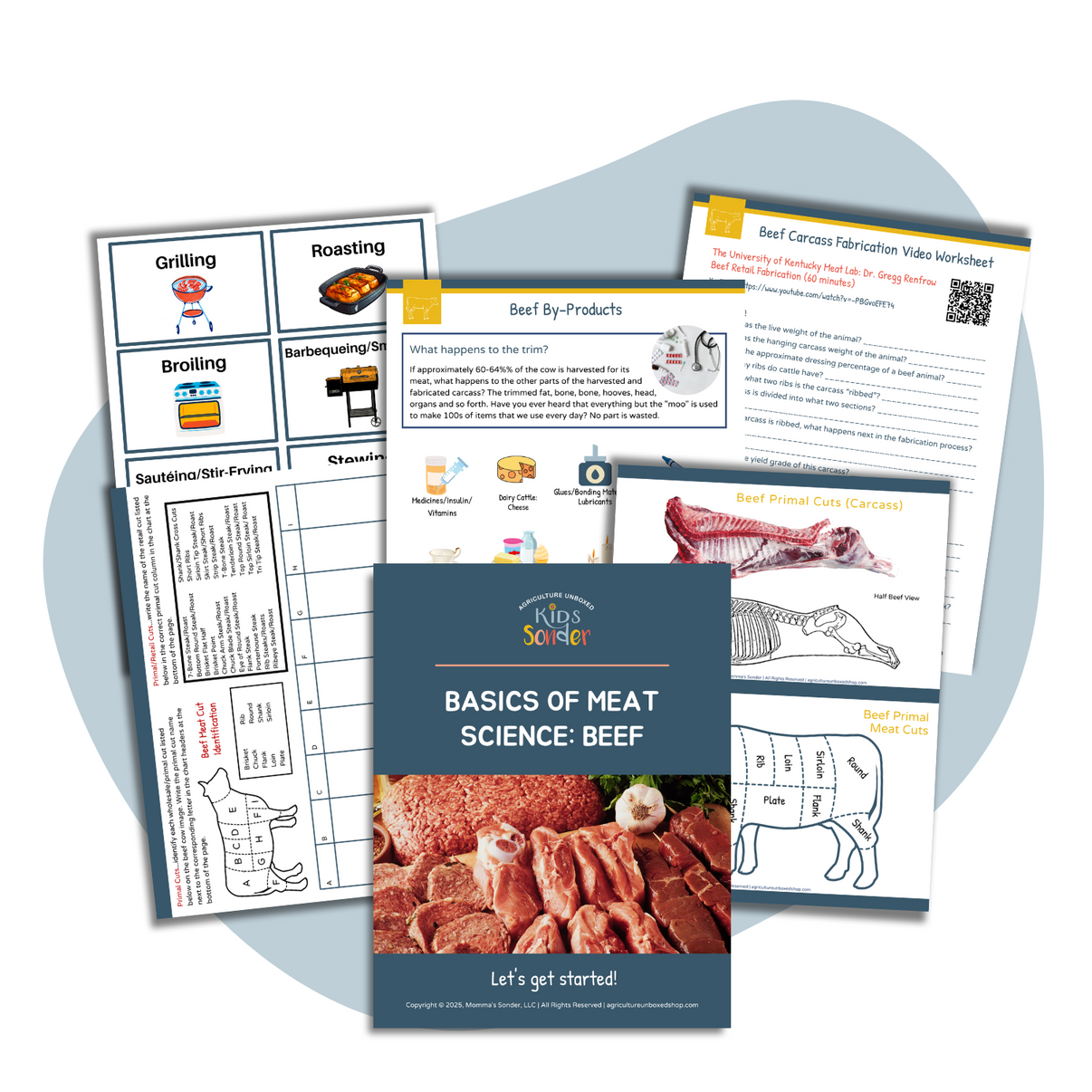 Basics of Meat Science: Beef (Printable PDF) – Agriculture Unboxed Shop ...