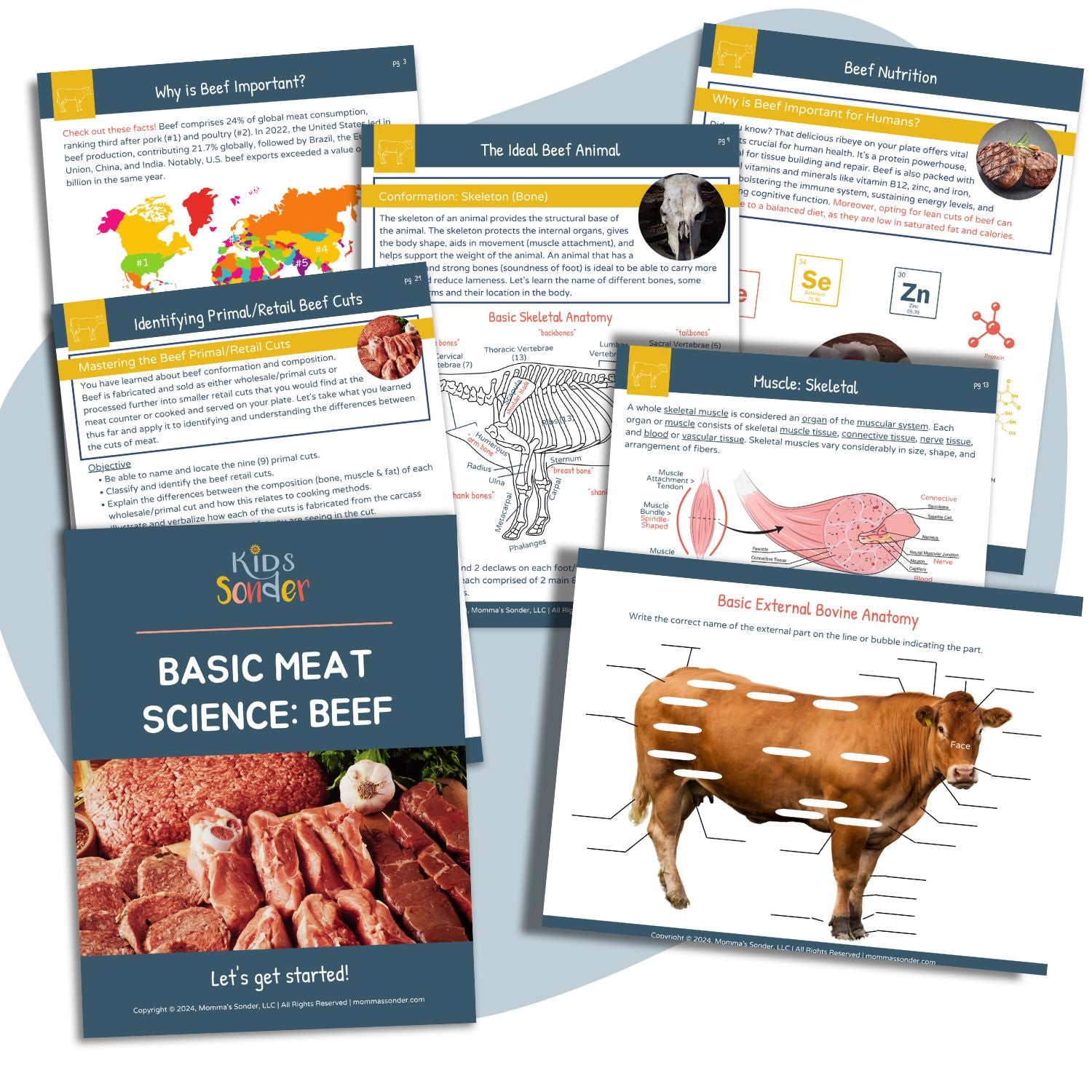 Basics of Meat Science: Beef (Printable PDF) – Agriculture Unboxed Shop ...