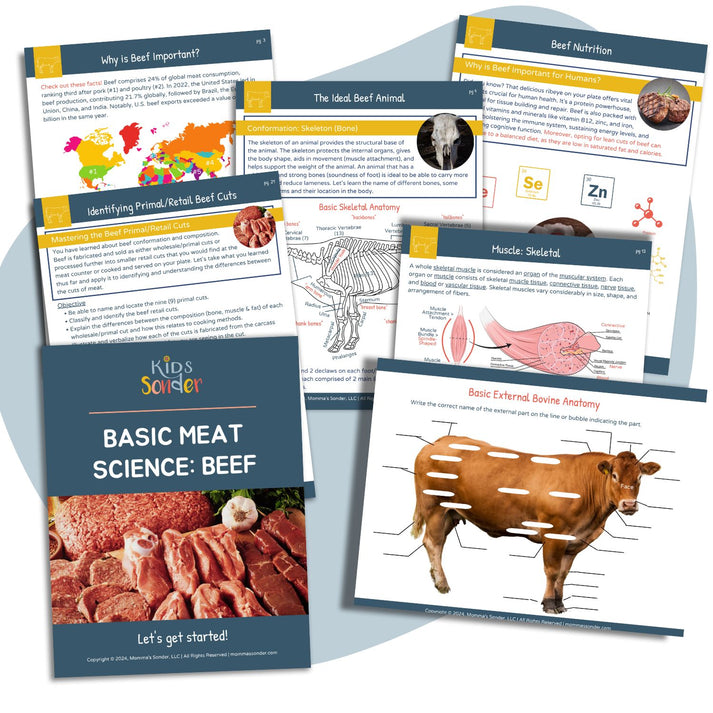Basics of Meat Science: Beef (Printable PDF) – Agriculture Unboxed Shop ...