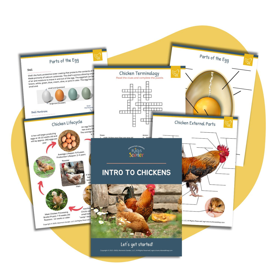 Beginner Introduction to Chickens Printable Unit Study – Agriculture ...