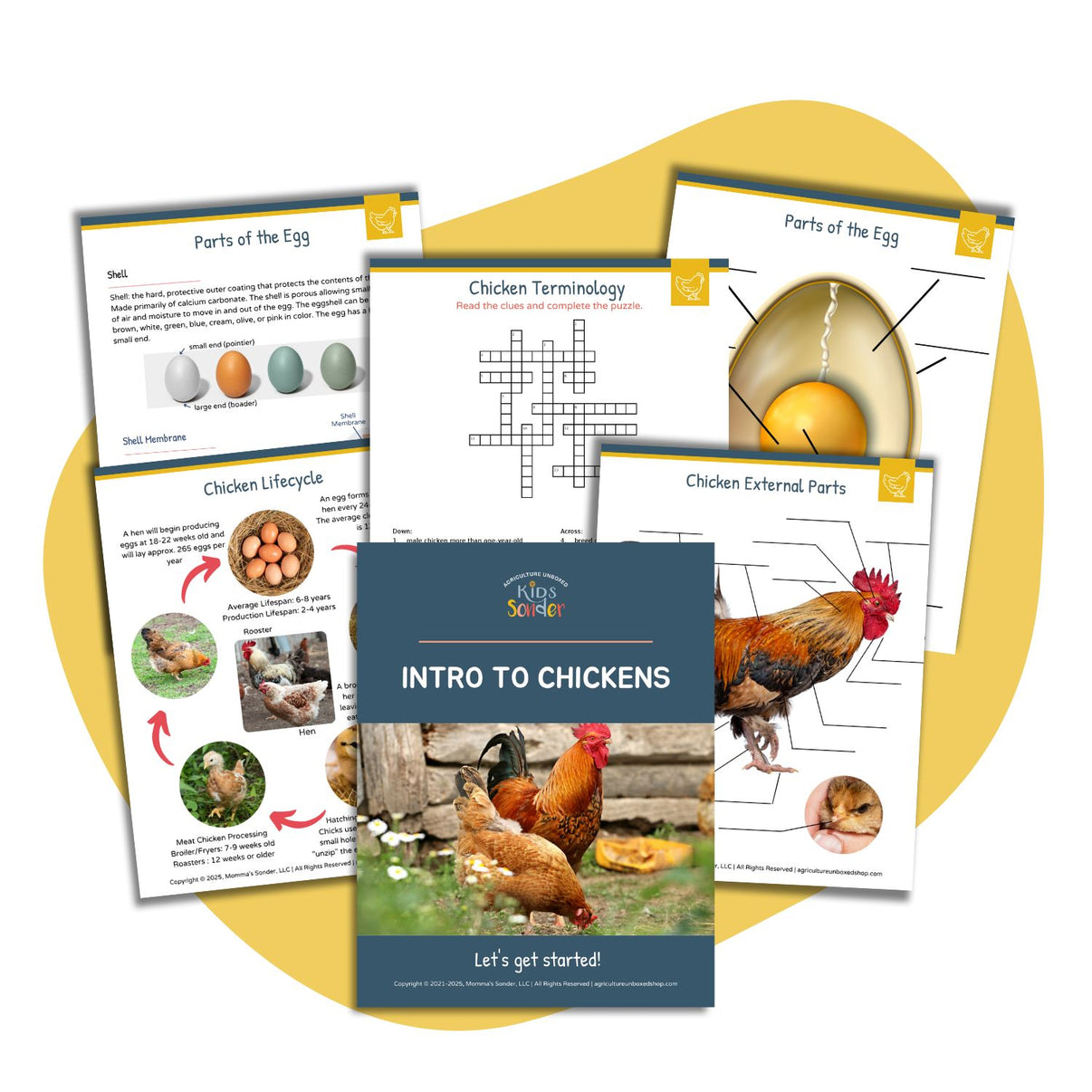 Beginner Introduction to Chickens Printable Unit Study – Agriculture ...