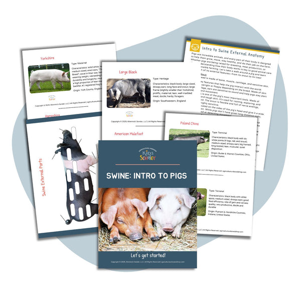 Swine: Pigs 101 (Printable PDF) – Agriculture Unboxed Shop/Kids ...