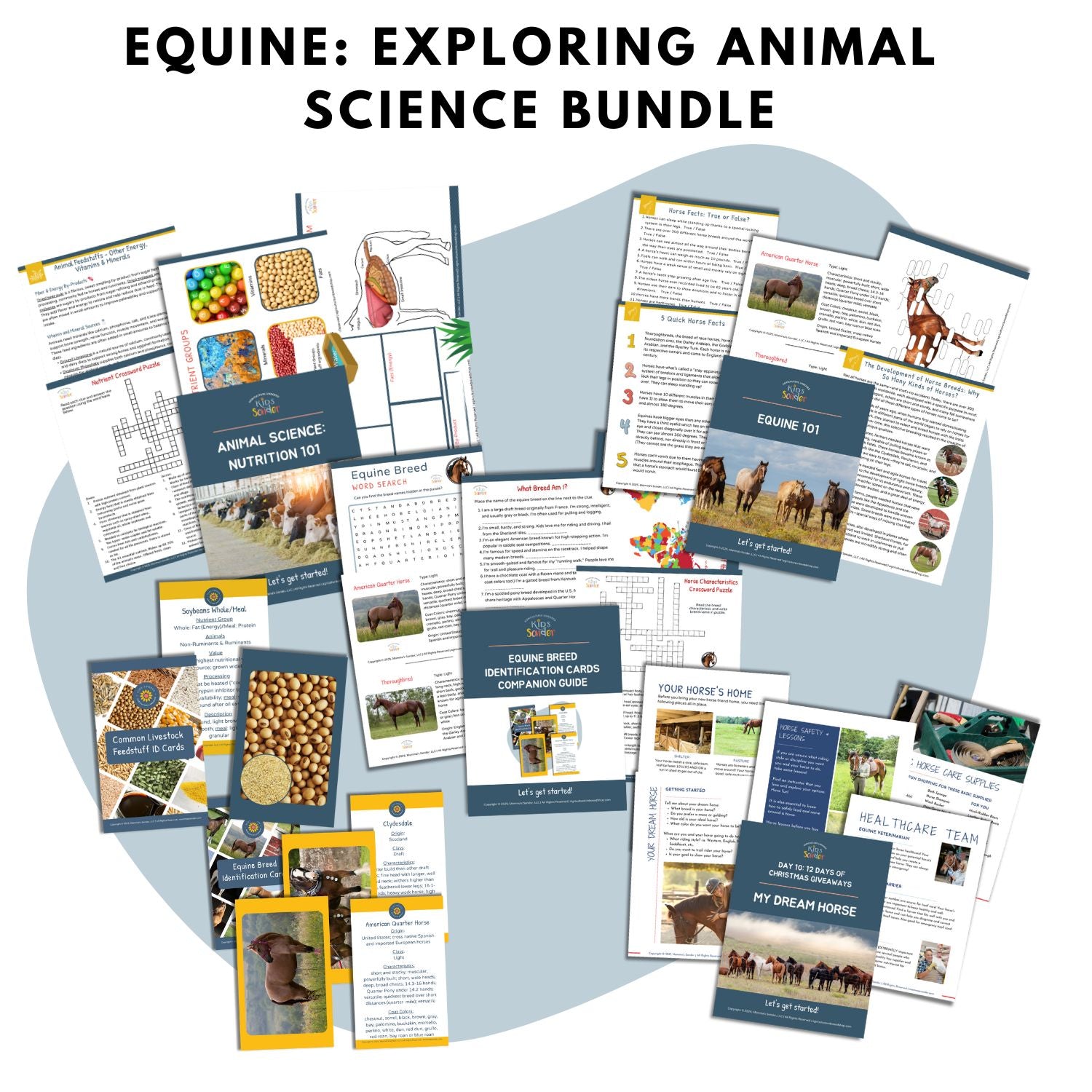 Equine: Exploring Animal Science Bundle – Agriculture Unboxed Shop/Kids ...