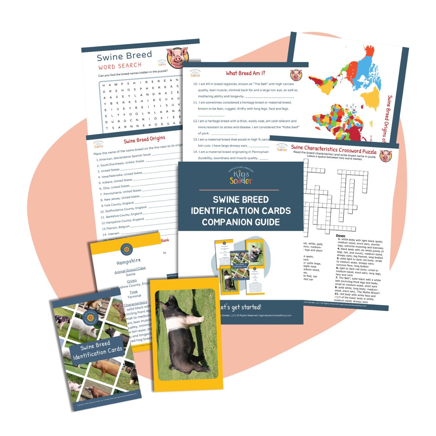 Swine Breed Identification Learning Set – Agriculture Unboxed Shop/Kids ...