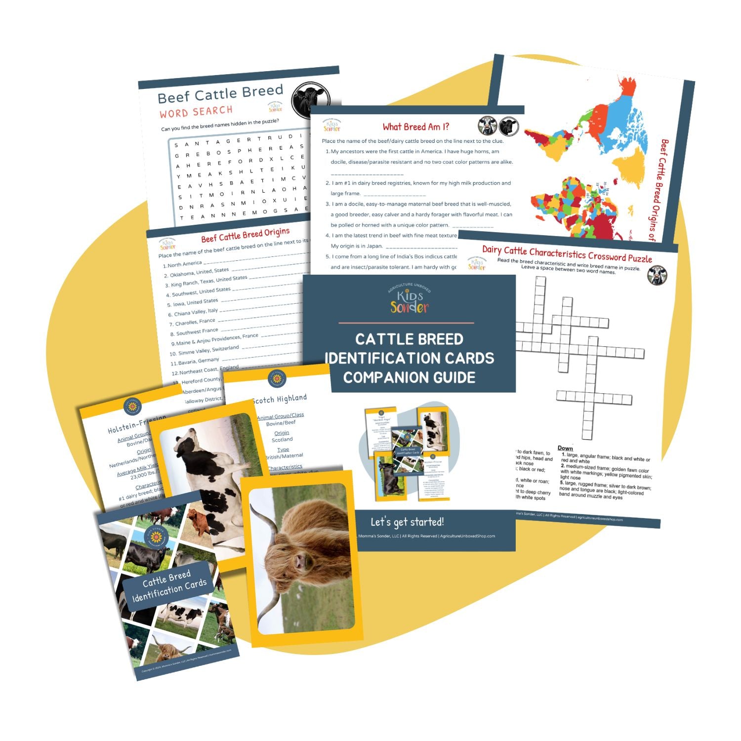 Cattle Breed Identification Learning Set – Agriculture Unboxed Shop ...