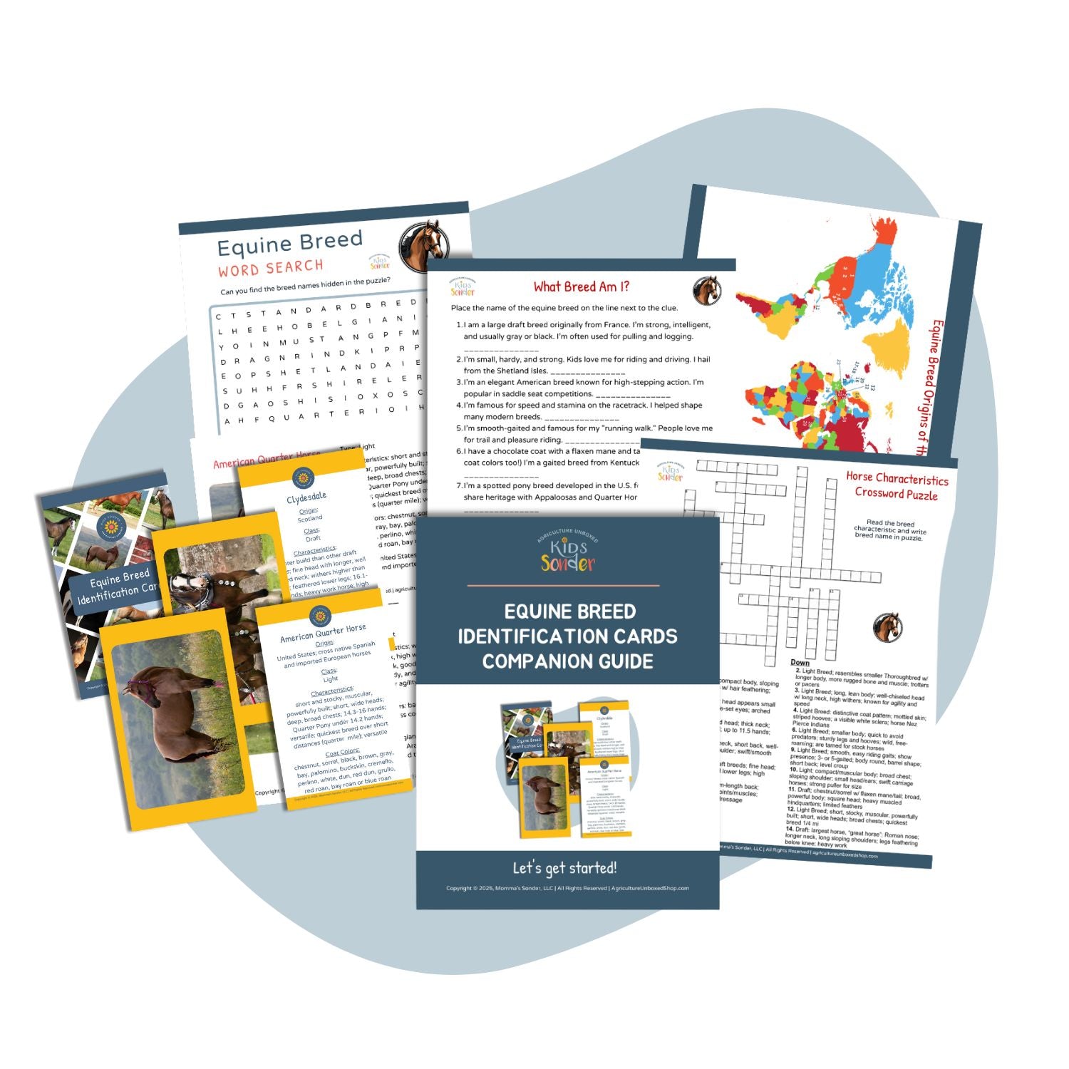 Equine Breed Identification Learning Set – Agriculture Unboxed Shop ...
