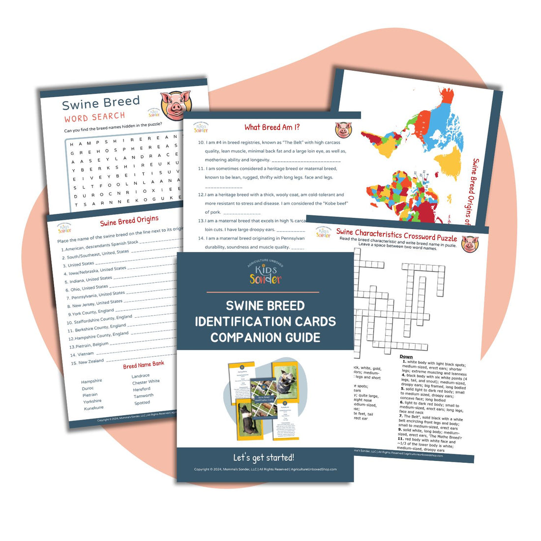 Swine Breed Identification Cards Companion Guide – Agriculture Unboxed ...