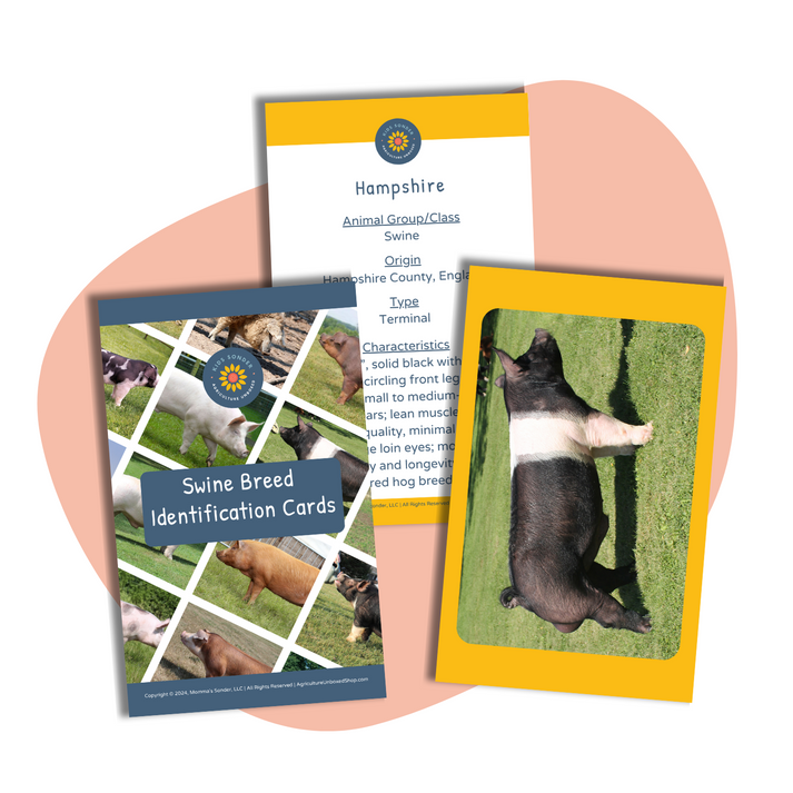 Bundle: Swine Breed Identification Flashcards and Companion Worksheets ...