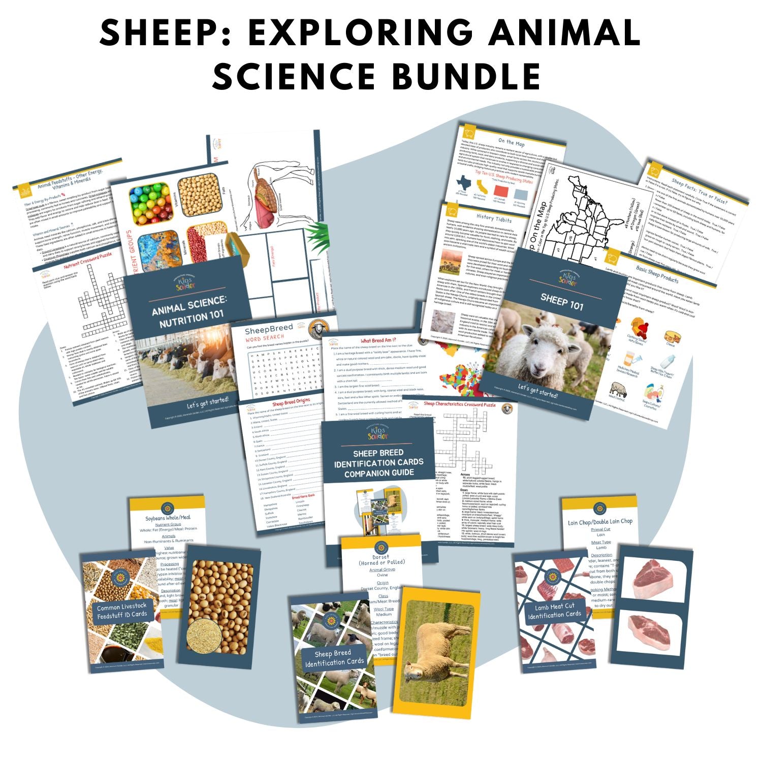 Sheep: Exploring Animal Science Bundle – Agriculture Unboxed Shop/Kids ...