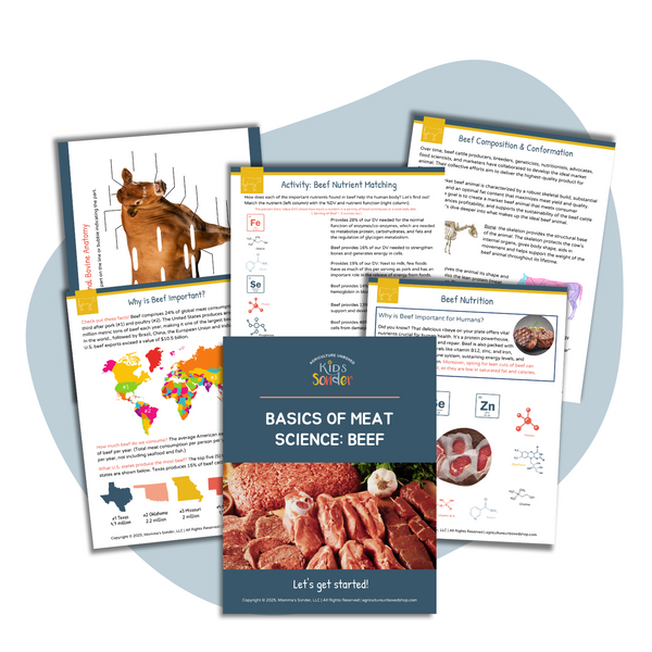 Basics of Meat Science: Beef (Printable PDF) – Agriculture Unboxed Shop ...