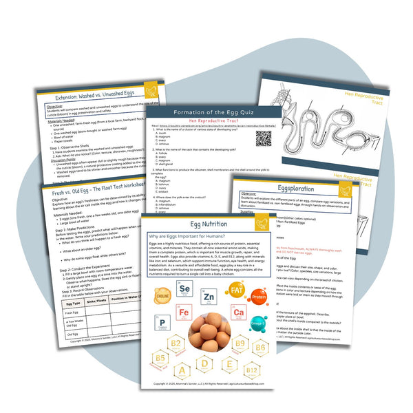 Eggsploration: Egg Parts and Formation (Printable PDF) – Agriculture ...